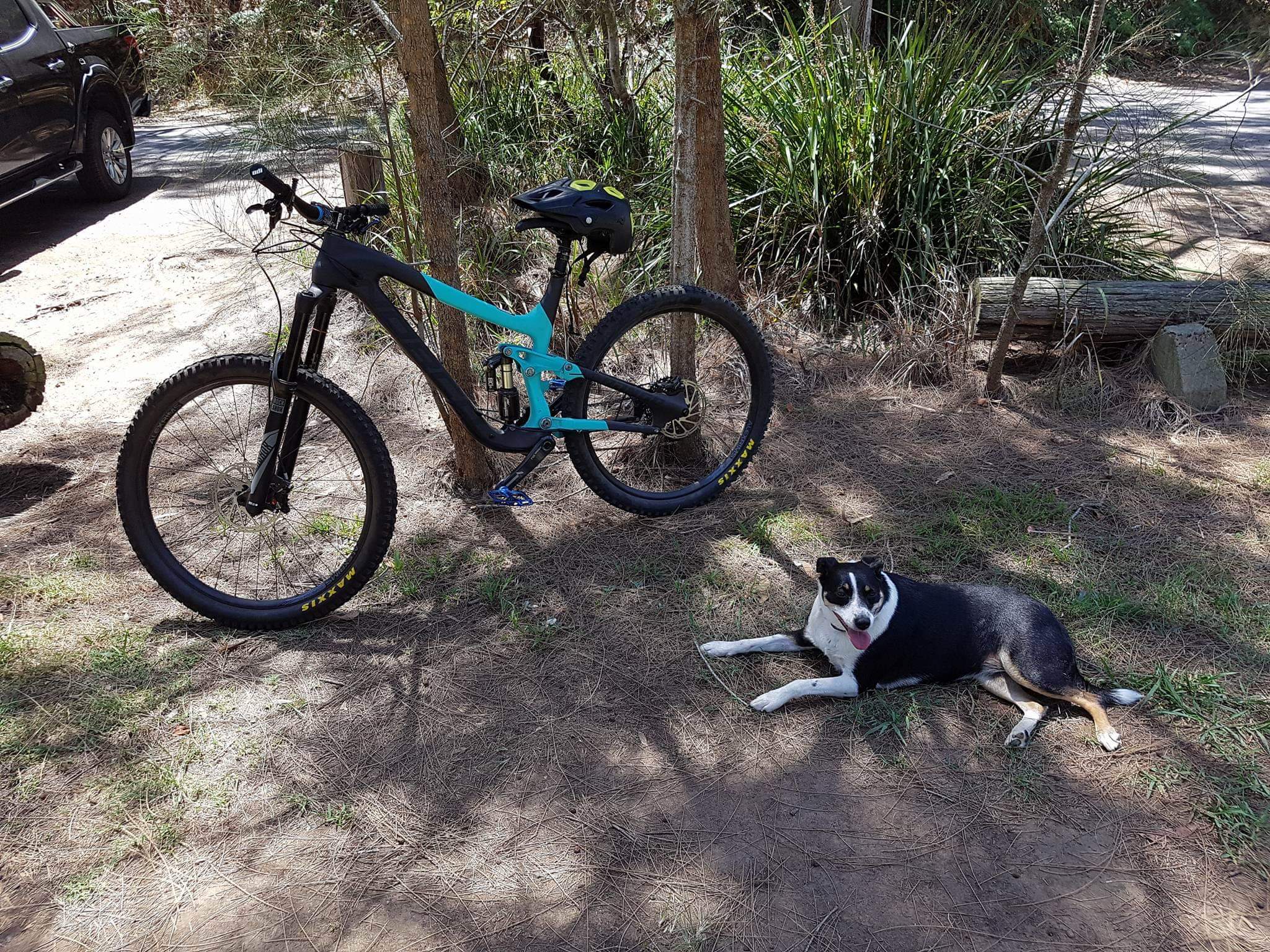 Custom Bike Builds - Pip's Mobile Bicycle Mechanic